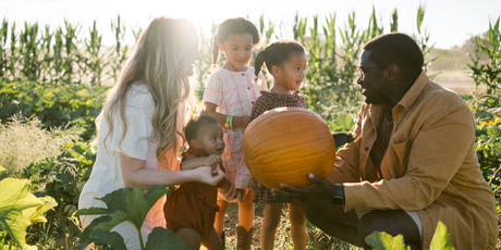 Autumn Awe | Visit California