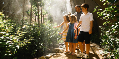 The Great Indoors | Visit California