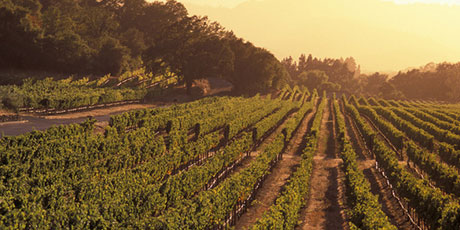 California for Foodies - Golden State Cuisine | CA Media Topics | Visit ...