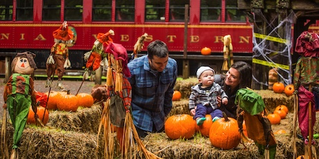 How to Spend Halloween California-Style | Visit California